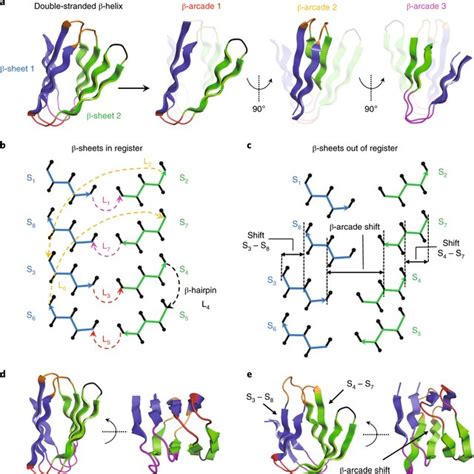 A Typical Computational Protein Design Workflow Download Scientific Diagram