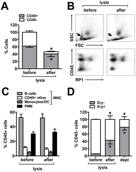 A Freshly Isolated Rat Bone Marrow Consists Of 60 Cd45 And 40 Download Scientific Diagram