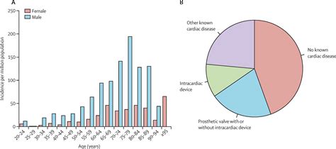 Infective Endocarditis Pathogenesis