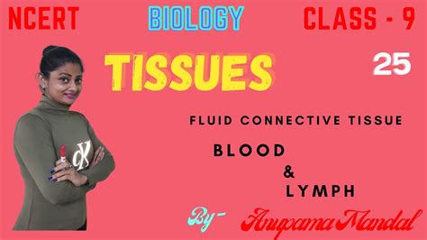 Tissues Blood And Lymph Class 9 Biology Youtube
