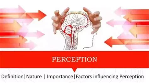 Perception Meaning Definition Nature Barriers Importance