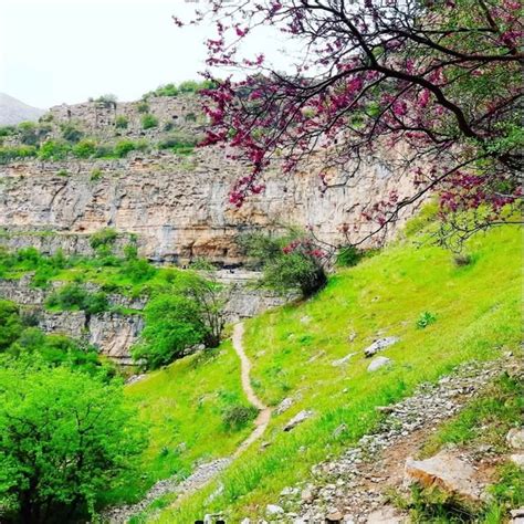 ‎معرفی جاذبه‌های‌ گردشگری‌ درگز‎ Dargaztabiat • Threads Say More