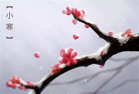 小寒，一年中最冷的時候來了！ 每日頭條