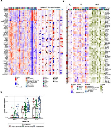Pan Cancer Proteogenomics Characterization Of Tumor Immunity Cell