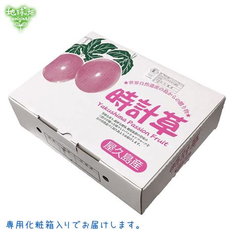 オーガニック パッションフルーツ 有機栽培 12kg 鹿児島県産 屋久島産 化学肥料・農薬不使用 11〜15個 贈り物 贈答用 お中元