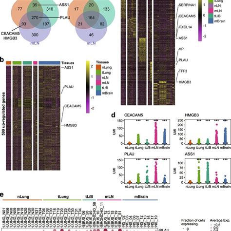 Identification Of Tumor Cell Specific Genes A Venn Diagram Of Up And Download Scientific