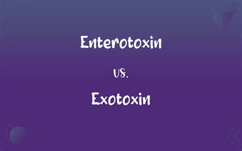Enterotoxin Vs Exotoxin Whats The Difference