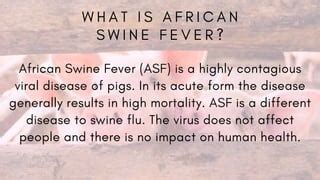 African Swine Feverpdf