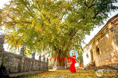 《秋色》 “美丽淅川”第四届全国摄影大赛 光影中国网 36 01ny Cn Powered By Discuz