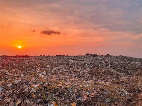 What Is Land Pollution Causes Effects And Prevention