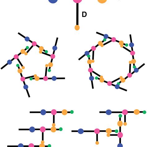 Ac Structure And Dimensions Of The Phi29 Connector D Illustration