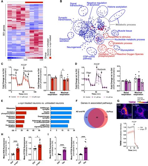 Microglia Rescue Neurons From Aggregate Induced Neuronal Dysfunction And Death Through Tunneling