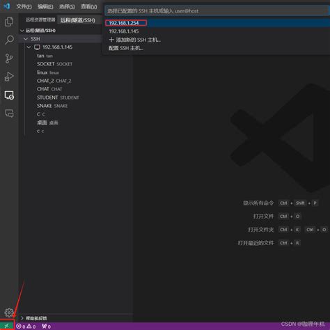 【vscode】安装配置、插件及远程【ssh】连接vscode Ssh插件 Csdn博客