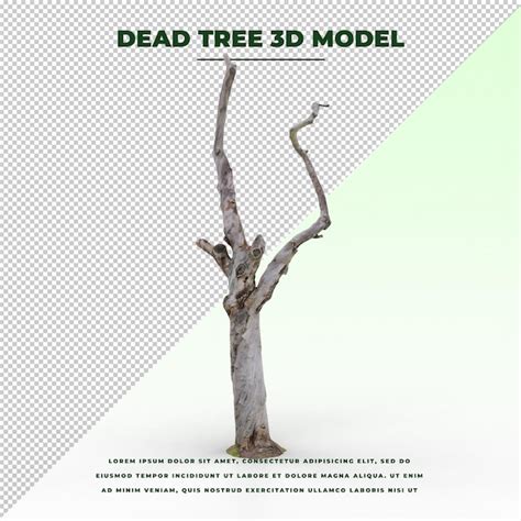 Decayed Tree Psd 100 High Quality Free Psd Templates For Download