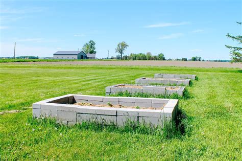 How To Build A Diy Cinder Block Raised Garden Bed Wholemade Homestead
