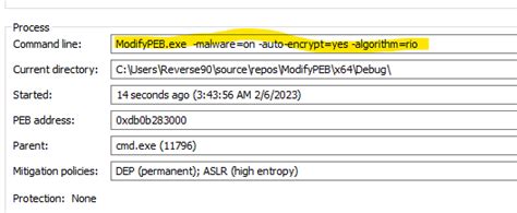 Manipulating Process PEB For Antiforensic Cyber Security Architect Red Blue Teaming