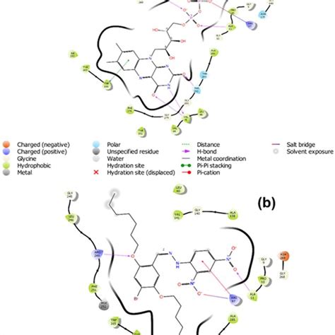 A Schematic 2d Interaction Diagram Representing The Ligand Complexes