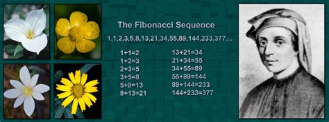 mathseasylearn fibonacci series number sequence god number series