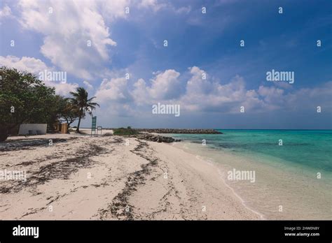 Empty White Sandy Beach With The Palm Trees And Blue Ocean Water On The