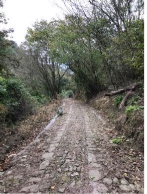 横街丁岙岭古道 驴行宁波
