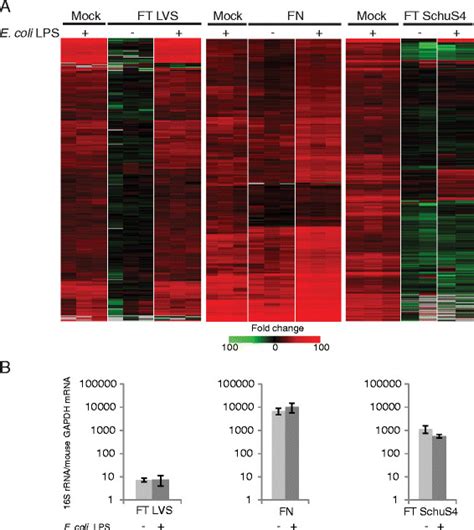 Francisella Mediated Antagonism Of Tlr4 Mediated Signaling Correlates