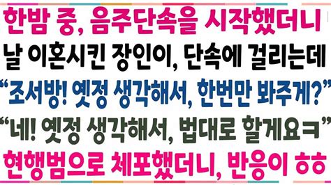 반전신청사연한밤 중 음주단속을 시작했더니 날 이혼시킨 장인이 단속에 걸리는데 조서방 옛정 생각해서 봐주게 네 법대로 할게요 말했더니신청사연사이다썰사연라디오 Re