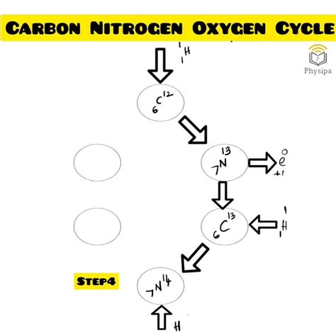 Carbon Nitrogen Oxygen Cycle Cno Nuclear Fusion Youtube