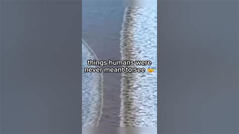 Things Humans Were Never Meant To See 😨 Pt1 Scary Horrify Creepy