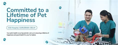 Veterinary Hospital Near Cgs Hospital By Cgs Hospital Medium