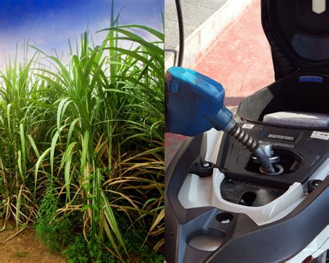 Pertamina Bangun Pabrik Bioetanol Suplai Bahan Bakar Ramah Lingkungan