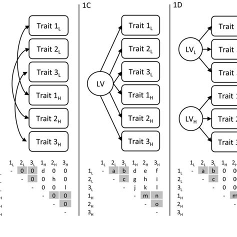 Patterns Of Hypothesised Correlation Structures With Associated