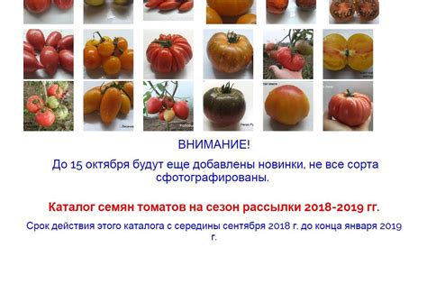 Семена редких сортов томатов