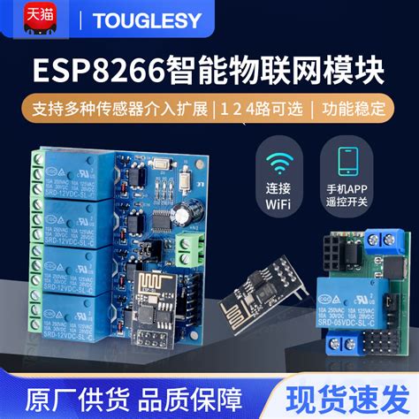 Esp8266 5v 12v Iot Smart Home Wifi Relay Remote Control Switch With