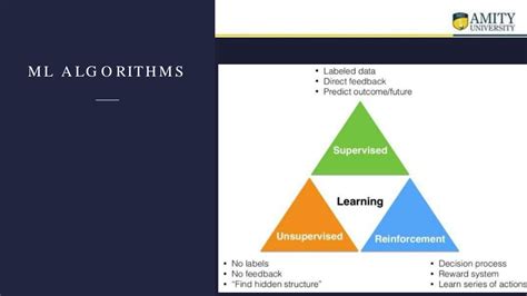 Solution Types Of Ml Algorithms Amity University Notes Studypool