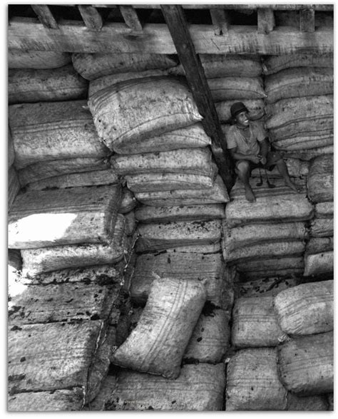 Surabaya Beat Park Books