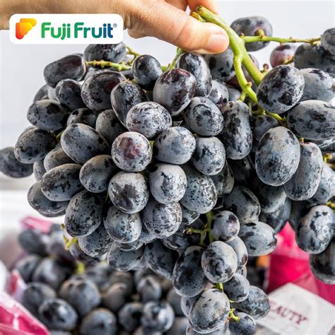 Nho đen Mỹ Fujifruit