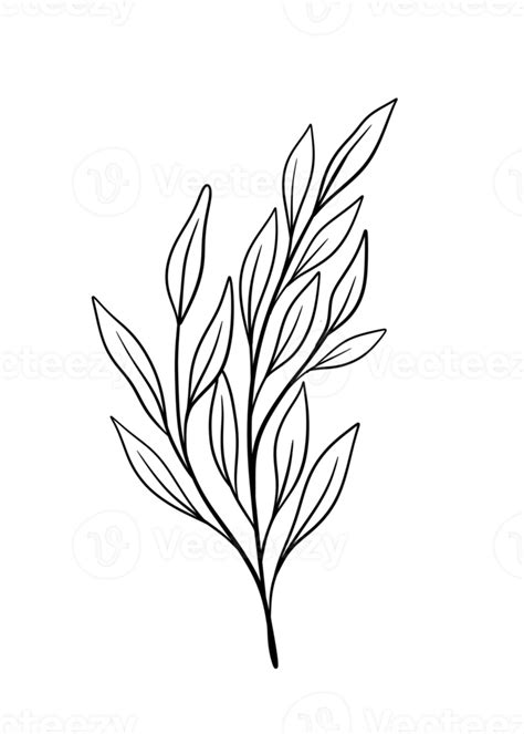 Leaf Line Art 18128698 Png