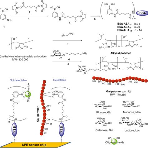 Preparation Of Bsa Aba Conjugates And Their Immobilization Onto A Spr
