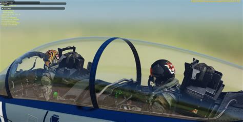 Bold Tigers 391st Fighter Squadron F 15e Helmets
