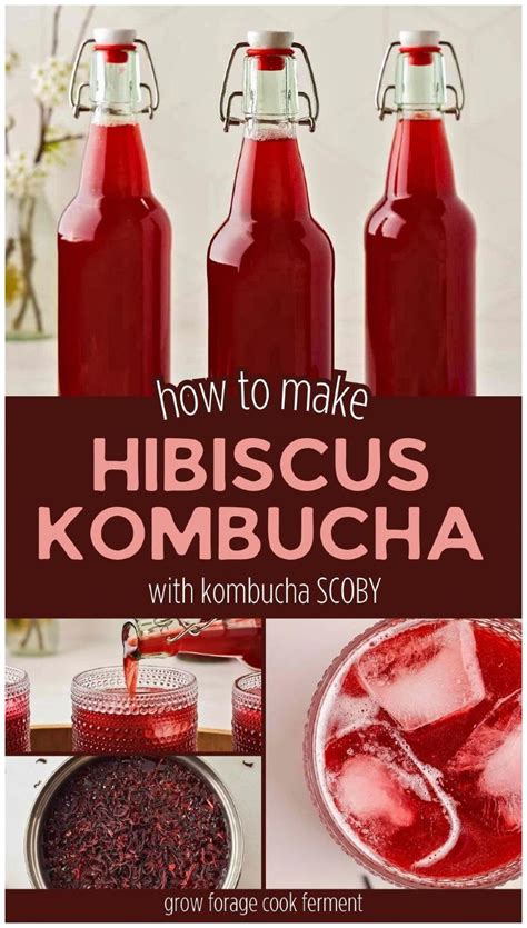 How To Make Hibiscus Kombucha Probiotic Drinks For Gut Health How
