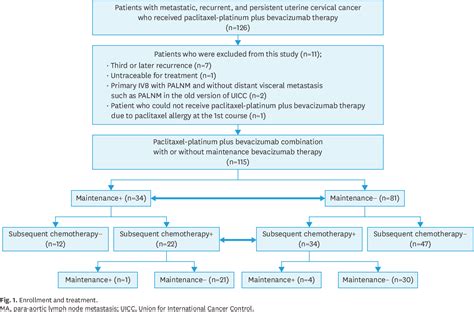 Figure 1 From Real World Efficacy And Safety Of Bevacizumab Single