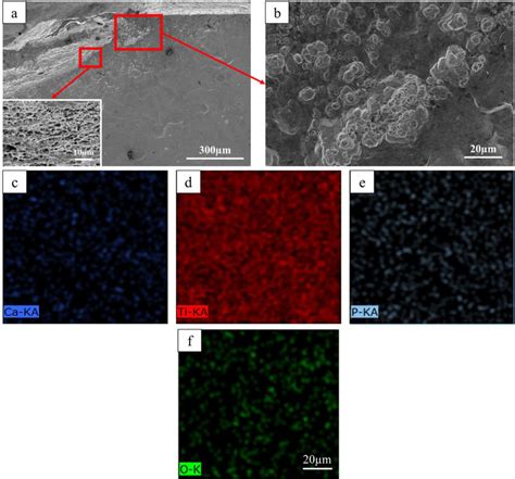 The Cross Sectional Se A And Bse B Sem Micrographs Of The Fsped Ti