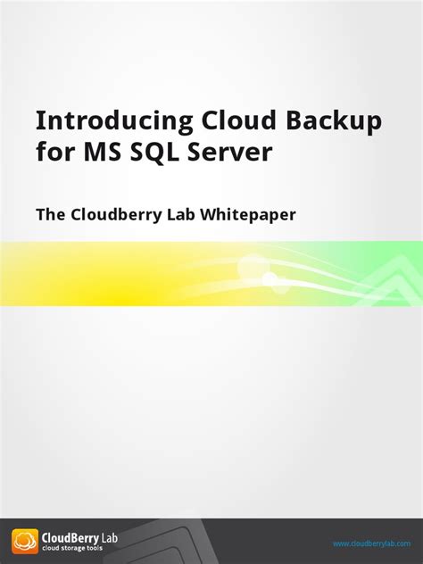Cloudberry Backup For Ms Sql Pdf Backup Cloud Computing