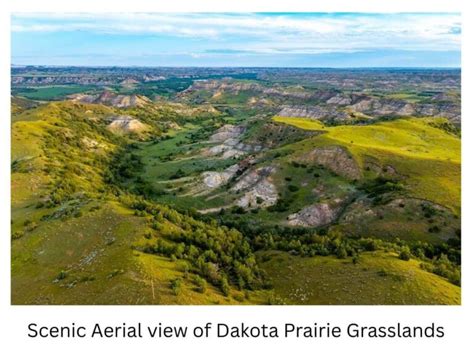 Grassland Ecosystems Types Flora Fauna Functions Examples