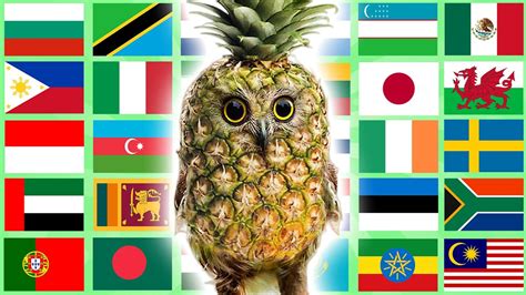 Pineapple Owl In 70 Languages Meme Youtube