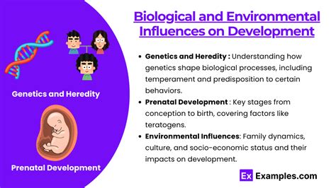 Human Development Notes Practice Questions Mcat Examples