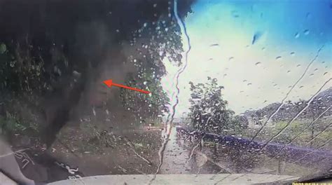 竹東大雨樹斷砸車！駕駛才停2秒副駕「全卯」網看傻：人平安嗎？ 社會 三立新聞網 Setncom