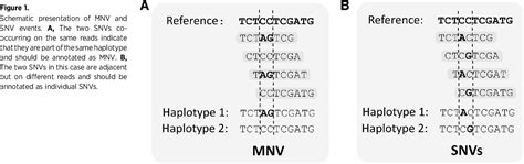 Figure 1 From Misannotated Multi Nucleotide Variants In Public Cancer Genomics Datasets Lead To