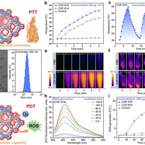 Characterization Of The Phototherapy Capability Of Cof 818 And
