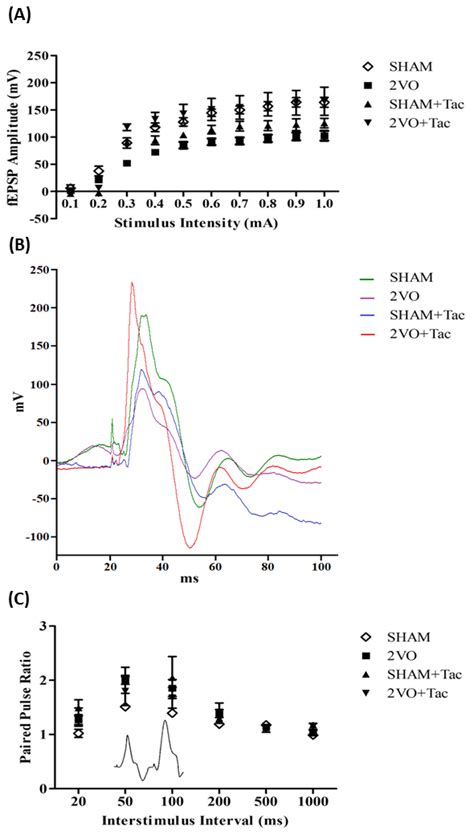 Field Excitatory Postsynaptic Potentials Fepsps In Ca1 Elicited By